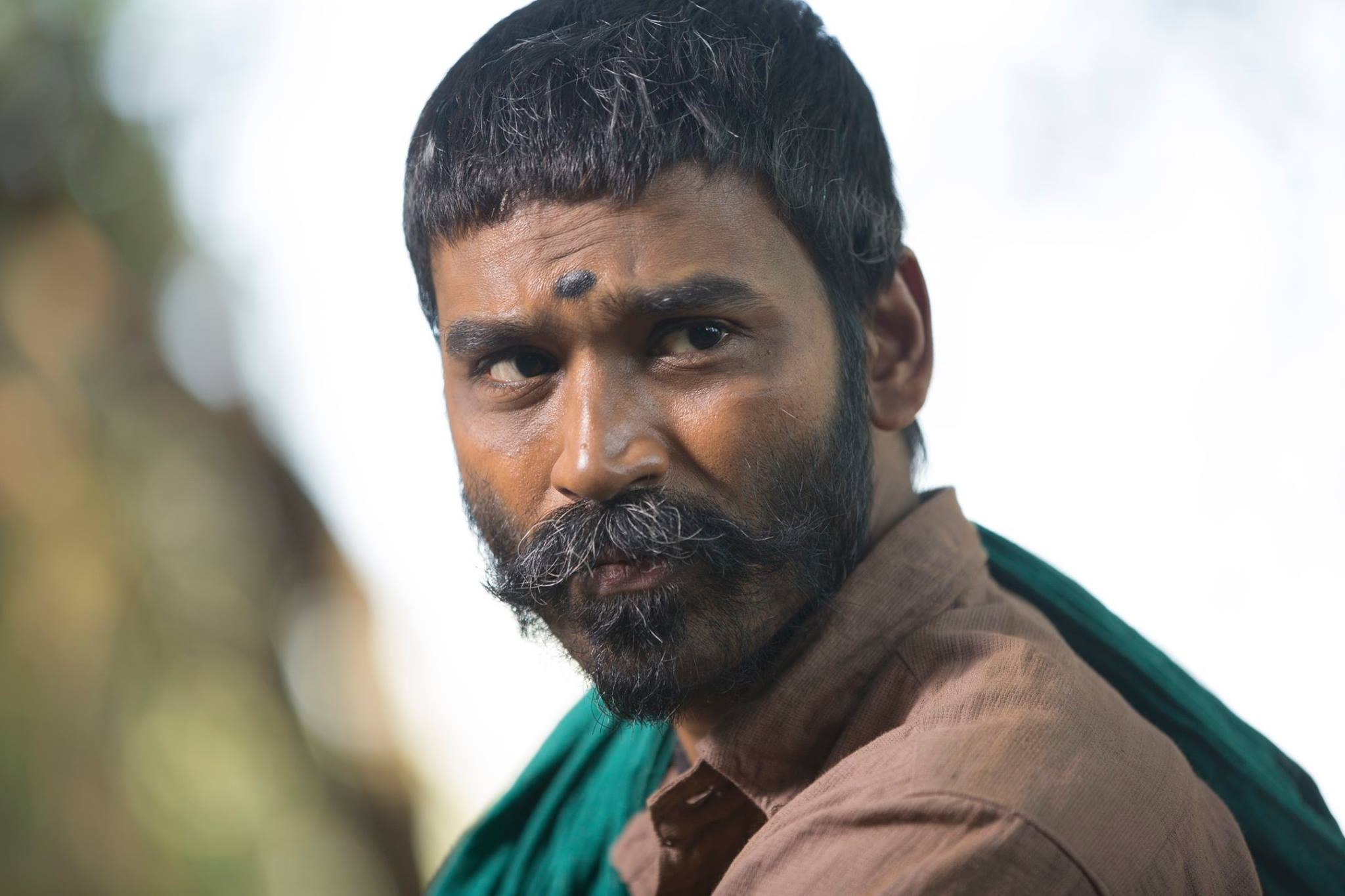 Dhanush Wiki, Biography, Age, Height, Weight, Wife, Girlfriend, Family ...