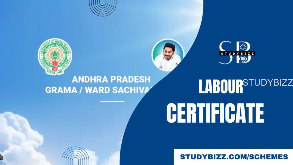 Labour Certificate / Integrated Registration - STUDYBIZZ