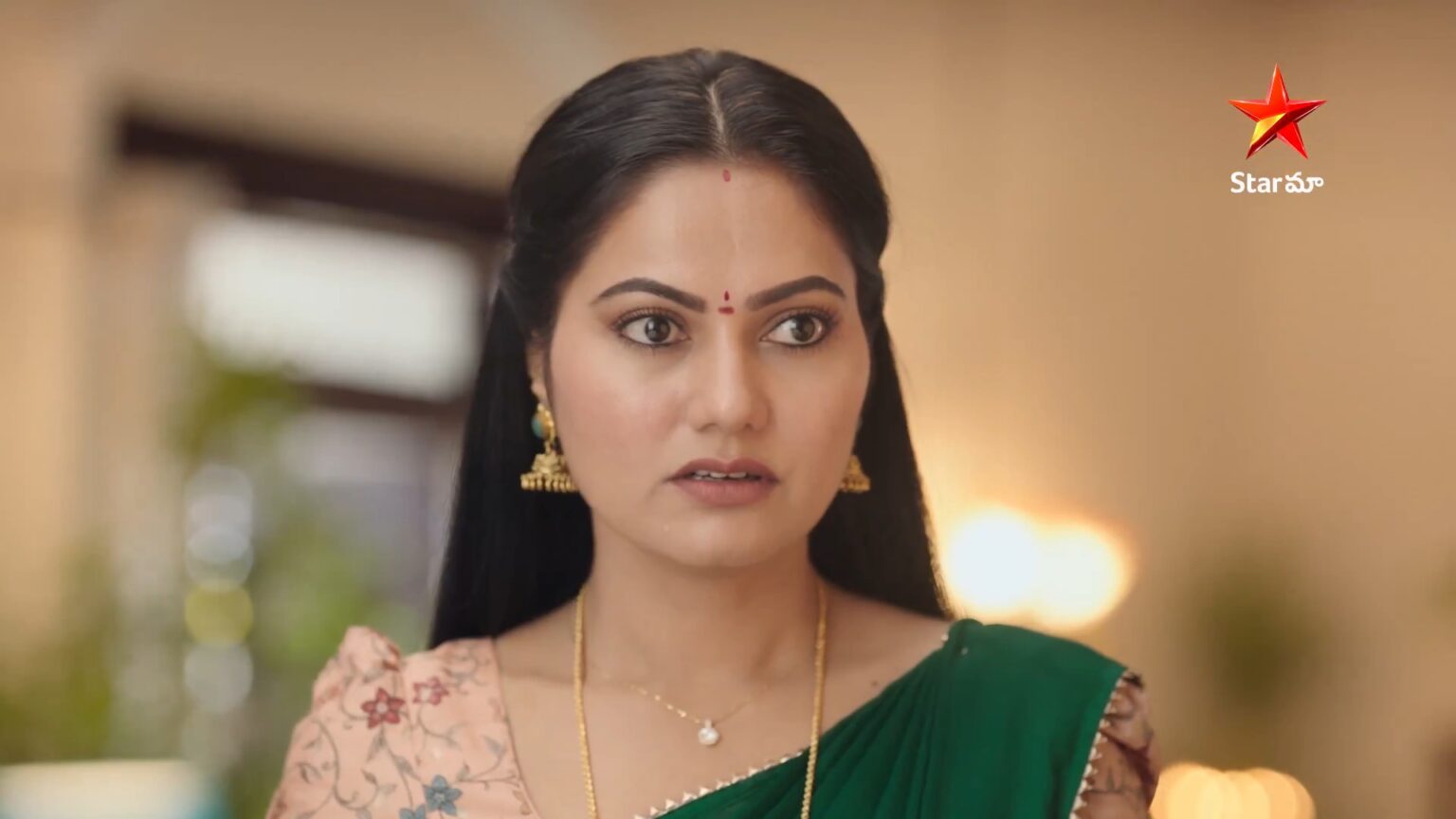 Maamagaru Serial Cast (Star Maa), Telecast Timings, Story, Cast Real ...